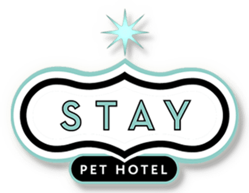 Home → 3 Dogs Boarding and Daycare / Stay Pet Hotel